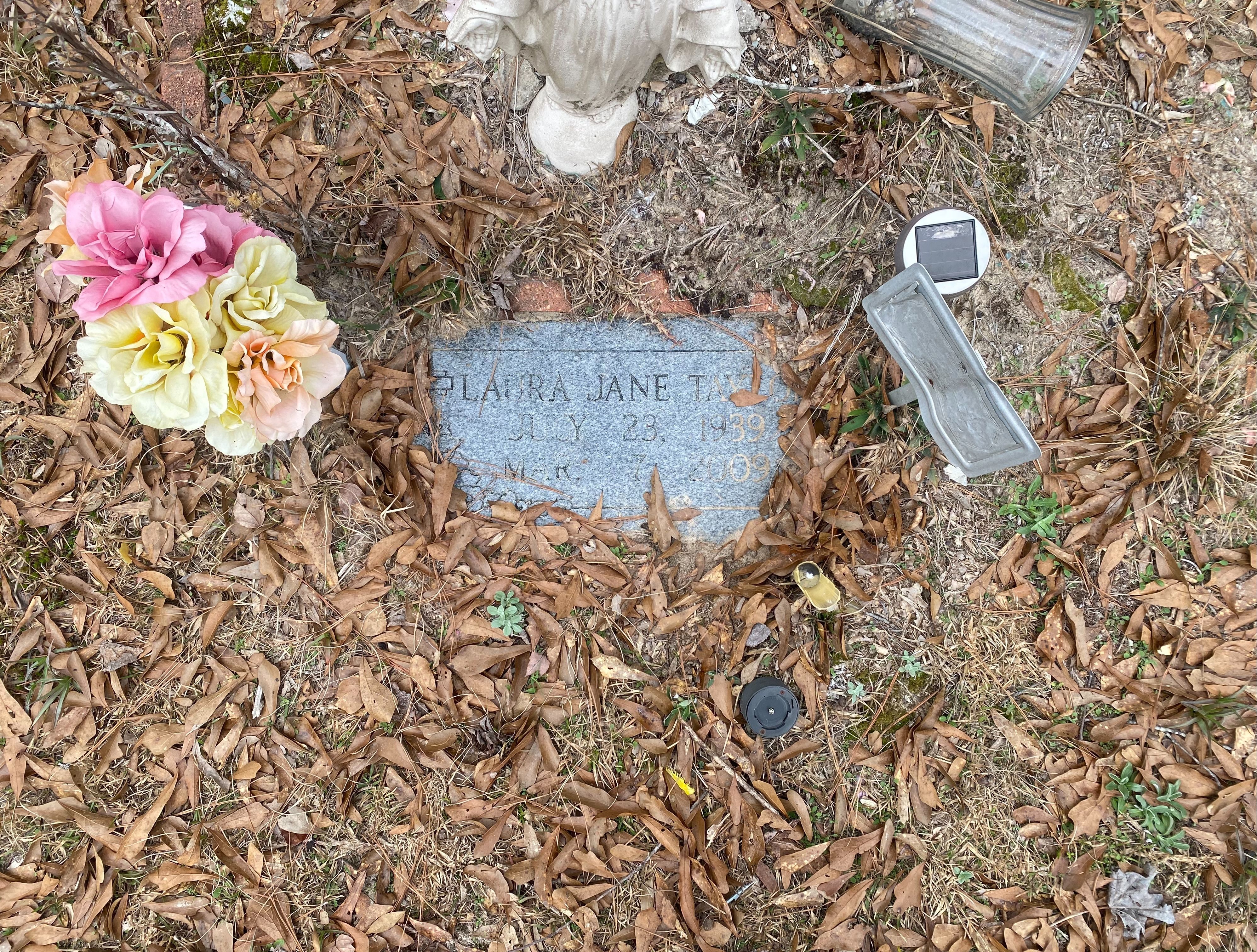 laura jane taylor – Our Unique Stories